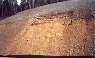 Stabilization of Highway Cut Slope with Extreme Slope Angle, Landslide ...