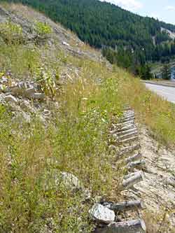 Stabilization of Highway Cut Slope with Extreme Slope Angle, Landslide ...